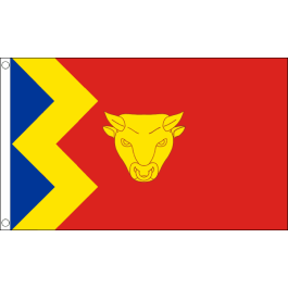 Birmingham Flag | The Flag Wholesaler